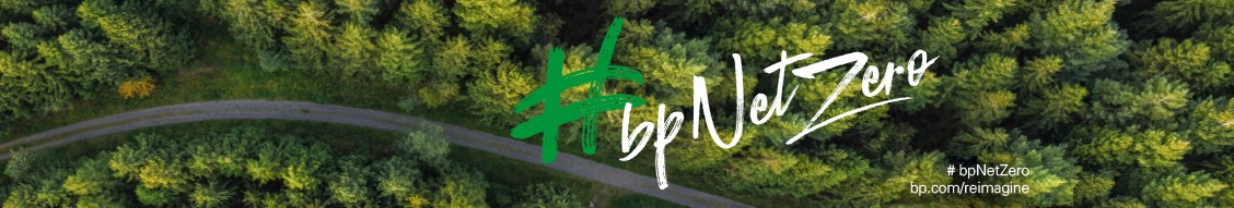 BP Sustainability Report