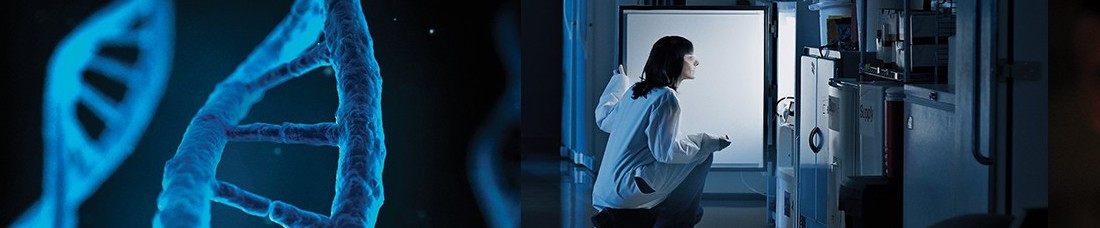 Pfizer Diversity, Equality and Inclusion Report