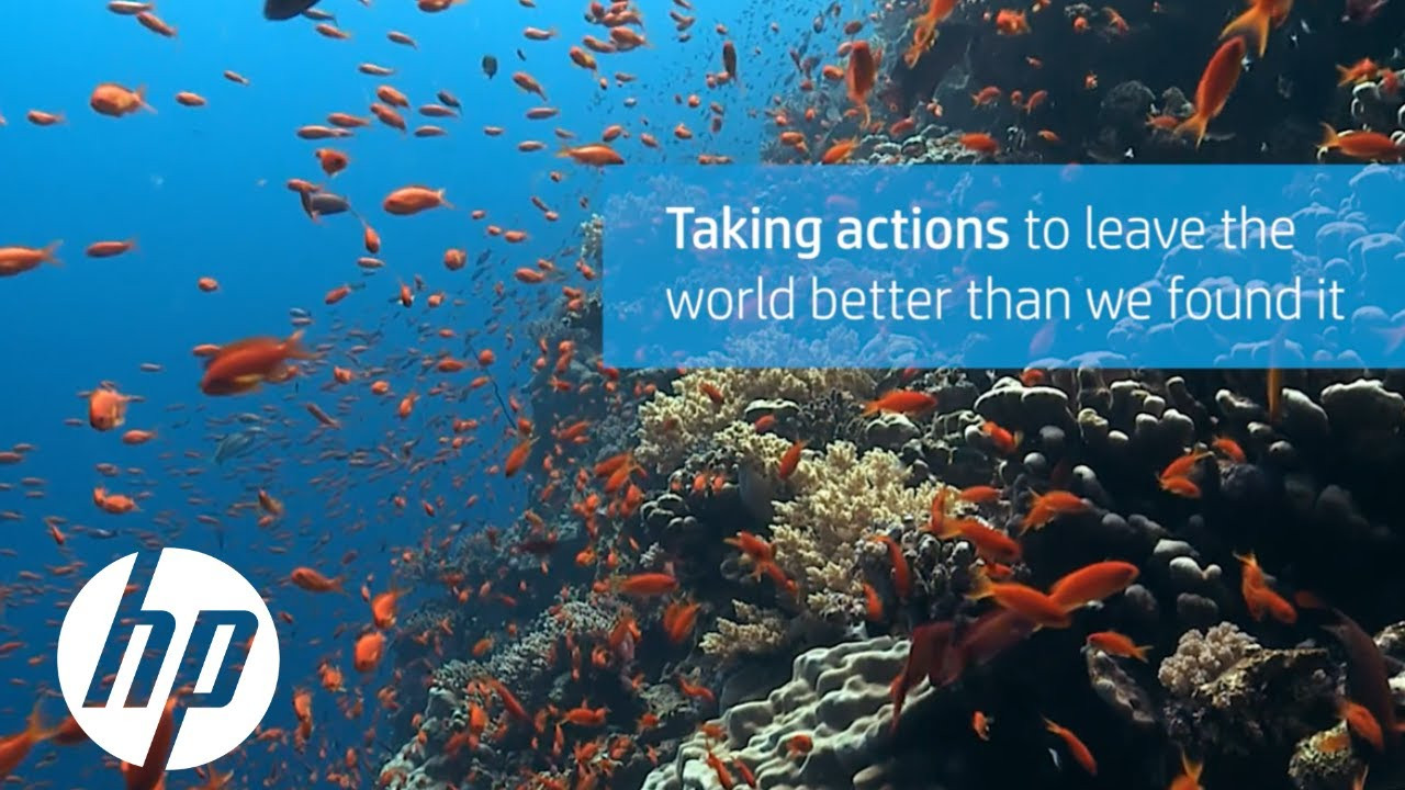 HP Diversity, Equality and Inclusion Report